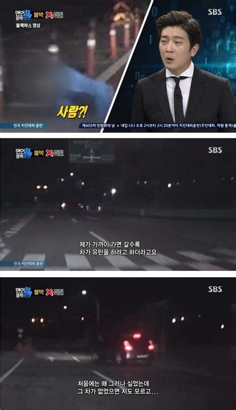 불법 유턴을 한 이유 인스티즈instiz 이슈 카테고리