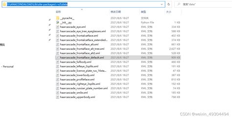 Opencv人脸检测报错， 215assertion Failedcvcascadeclassifierdetectmultiscale‘ Csdn博客