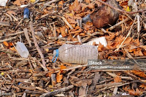 플라스틱 및 유리 병 던져 그리고 자연 쓰레기 더미에에서 왼쪽 Unecological 생태학 재활용 산업 생태 재활용된 소재 오염 태만 환경 보호 강에 대한 스톡 사진 및
