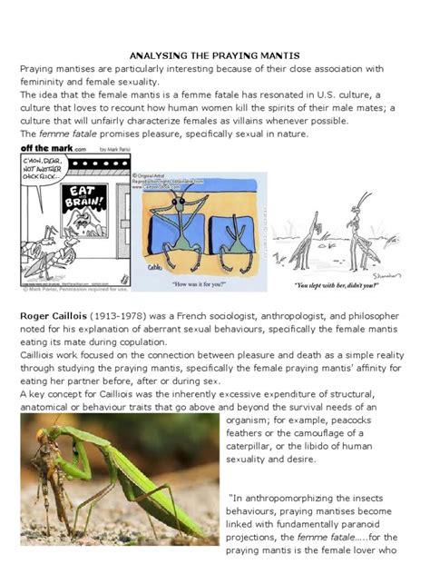 Analysing The Praying Mantis Zoology Sex