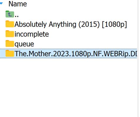 radarr won t move files r selfhosted