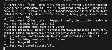 flutter second photo is not displaying stack overflow