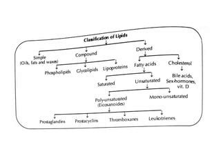 LIPIDS PPT