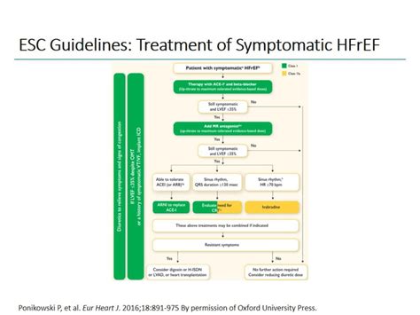 Treating Hfref Challenges Faced Ppt Download