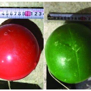 The Two Balls Used In The Experiment Download Scientific Diagram