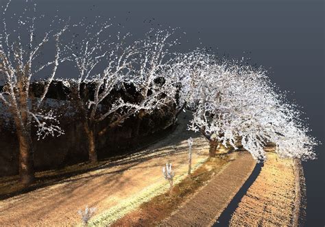 3d point cloud and mesh modeling anax itg