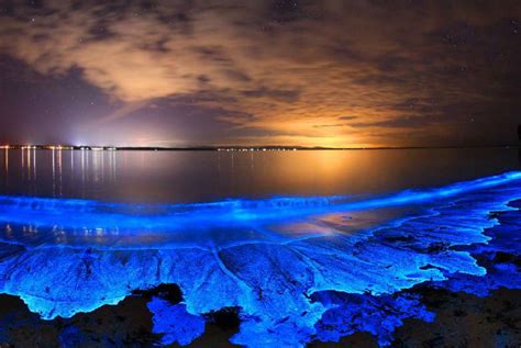 Bodega Bay Night Bioluminescent Bay Places To Visit Places To See