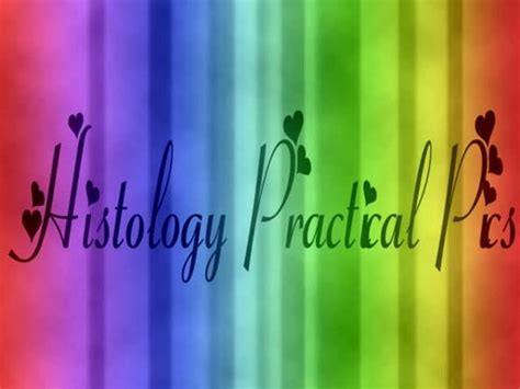 Tissue Preparation Histology Pptx