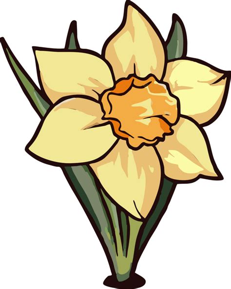 Daffodil Png Graphic Clipart Design 23623207 Png
