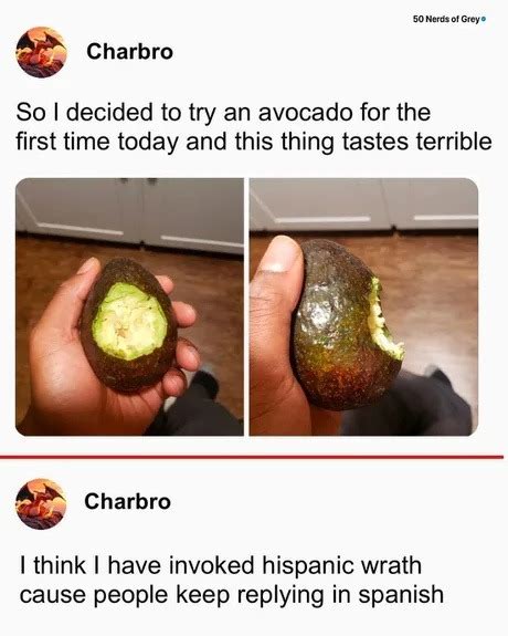 Avocado Funny Memes