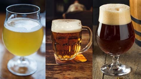 Lager Vs Ipa Vs Ale At Victoria Ranford Blog