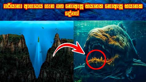 බිහිසුණු මරියානා ආගාධයේ ජීවත් වෙන භයානක සතුන් Youtube