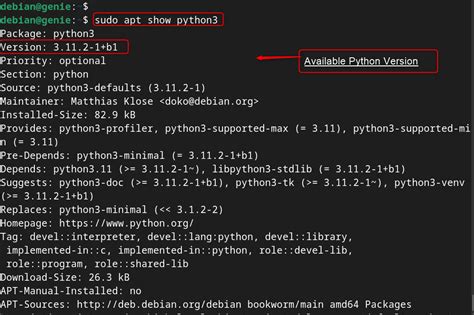 how to install pip3 on debian 12 linux genie