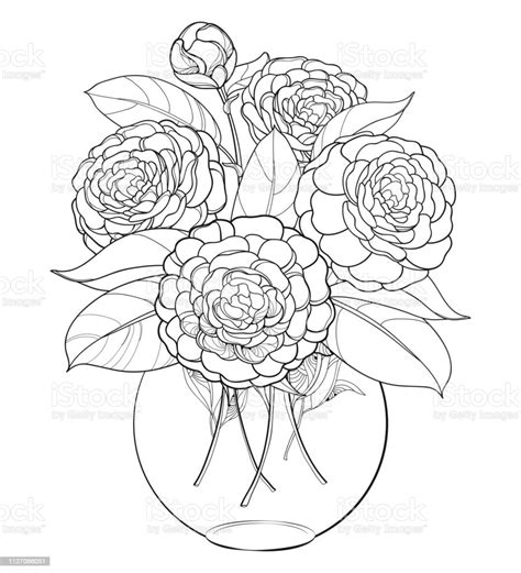 와 벡터 꽃다발 동백 꽃 무리 새싹 및 잎 검은 흰색 배경에 고립 된 둥근 꽃병에 개요 0명에 대한 스톡 벡터 아트 및 기타 이미지 0명 검은색 계절 Istock