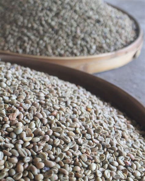 Java Coffee Benefits Proven Health Advantages