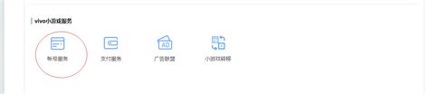 调用 登录token获取用户信息 老是返回 msg 参数不合法 code Issue vivominigame issues GitHub