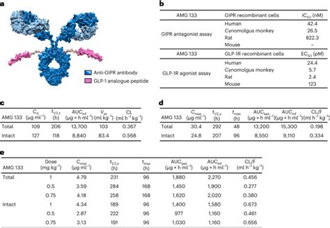 A Gipr Antagonist Conjugated To Glp 1 Analogues Promotes Weight Loss