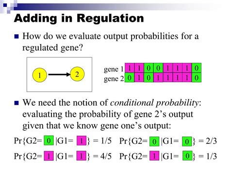 Ppt Genetic Regulatory Network Inference Powerpoint Presentation