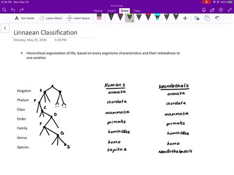 ⏩solvedwhat Did Linnaeuss System Of Naming Organisms Ensure A