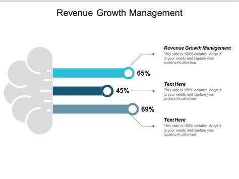Revenue Growth Management Ppt Powerpoint Presentation Layouts Templates Cpb Powerpoint