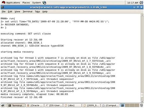 Oracle 11g Database Point In Time Recovery Dbpitr