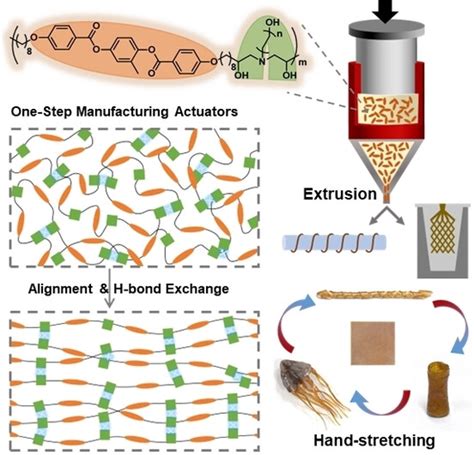 One‐step Manufacturing Of Supramolecular Liquid‐crystal Elastomers By Stress‐induced Alignment