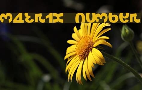 Matrix Number Font