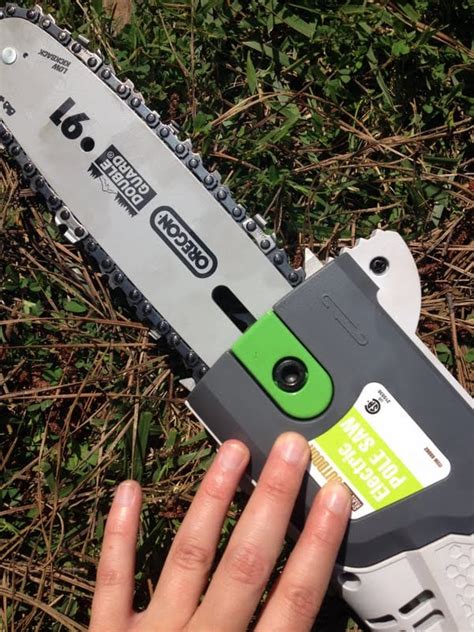 How To Trim And Prune Trees DIY Basics Safety Tips