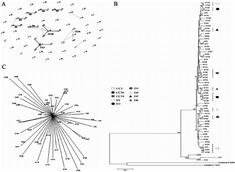 example of mlst data analysis a v parahaemolyticus ‘population