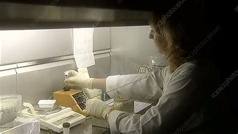Scientific Testing Stock Video Clip K Science Photo Library