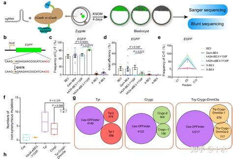 技术介绍丨一文带您了解全基因组甲基化测序 知乎