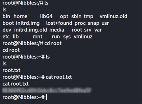 hack the box — nibbles et hacks stuff