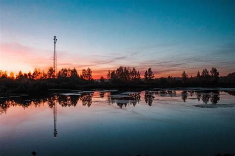 비트 효능 7가지와 하루 권장량