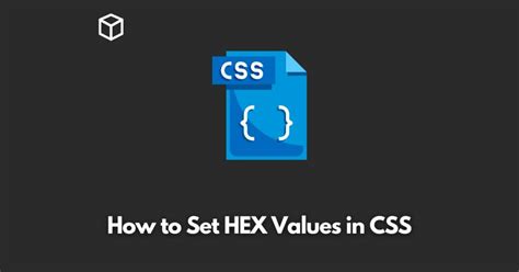 How To Set HEX Values In CSS Programming Cube