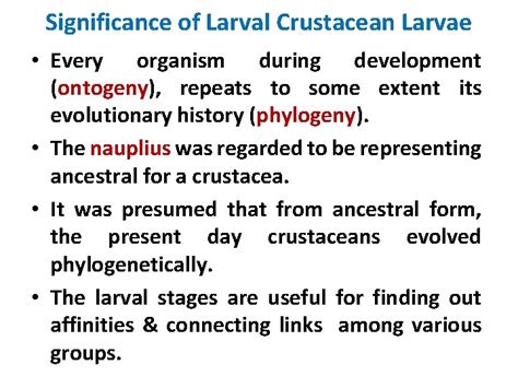 Crustacean Larvae Crustaceans Show Both Direct And Indirect