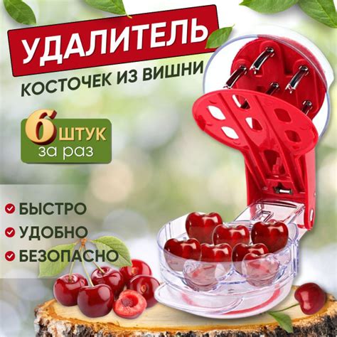 Машинка для удаления косточек из вишни, Отделитель косточек из черешни ...