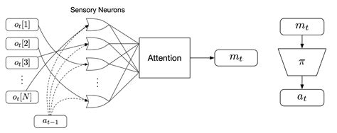 permutation invariant neural networks for reinforcement learning 大トロ