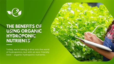 Organic Hydroponic Nutrients Benefits Types Advance Tips