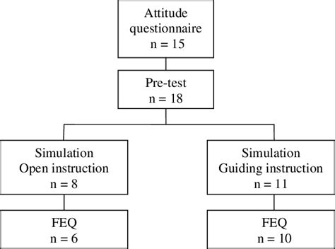 Overview Of Experimental Procedure And Sample Sizes Download Scientific Diagram