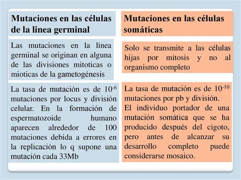 Variabilidad Genetica Y Biomedicina Ppt Descargar