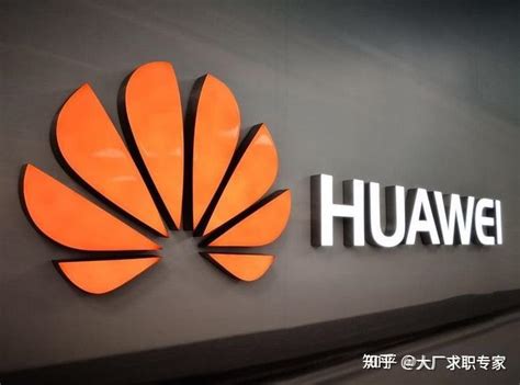 【华为od机考三道编程之一】华为软件开发工程师 真题机考笔试题目1d卷200分 转骰子（java And Js And Python） Csdn博客