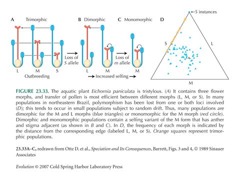Chapter 23 Notes Evolution Of Genetic Systems