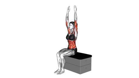 Female Sitting Shoulder Press Toe Touch Video Guide And Tips