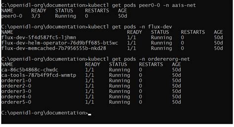 2 Infrastructure As Code Using Jenkins — Openidl Documentation