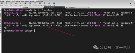Ngnix的块自定义服务日志，accesslog和errorloglogformat指定日志输出格式设置linux服务器