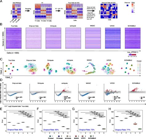 performance evaluation using down sampled bulk rna seq data a