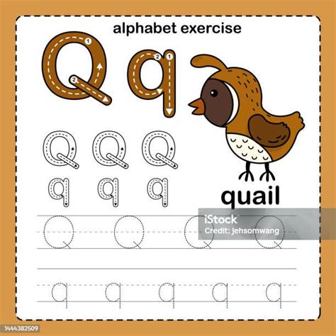 알파벳 문자 Q만화 어휘 그림 벡터 메추라기 교육에 대한 스톡 벡터 아트 및 기타 이미지 교육 귀여운 다중 색상 Istock