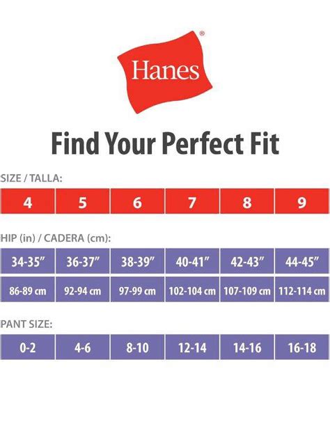 Hanes Cool Comfort Cotton Brief Panties For Women Moisture Wicking