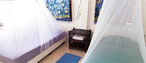 Hotel Serenidad Shardon Punta Allen Quintana Roo Zonaturí