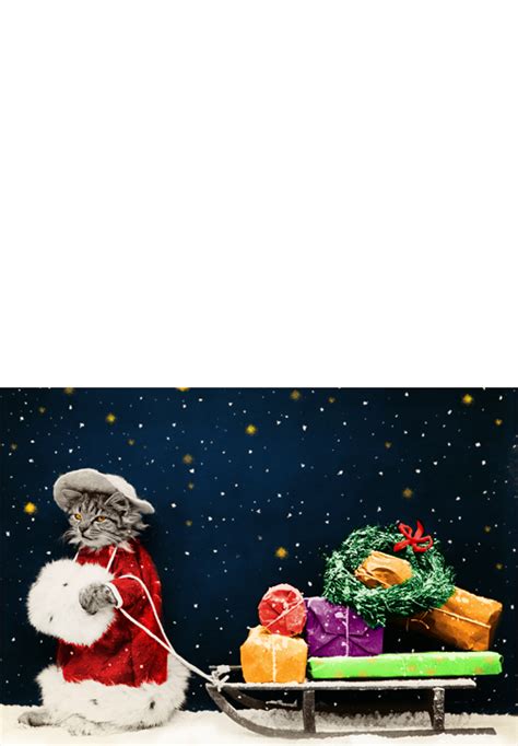 Картичка с коледна рисунка на коте и шейна с подаръци